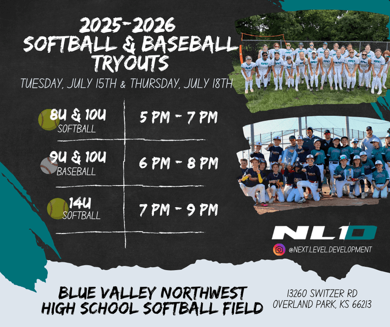 Advance Your Skills with Next Level Development Experts